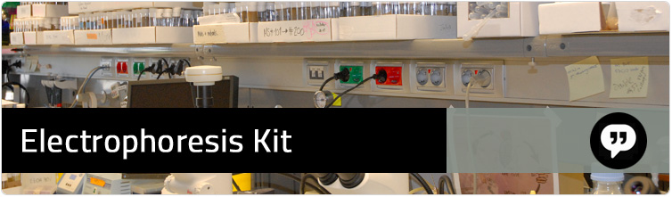 Electrophoresis Kit | crg